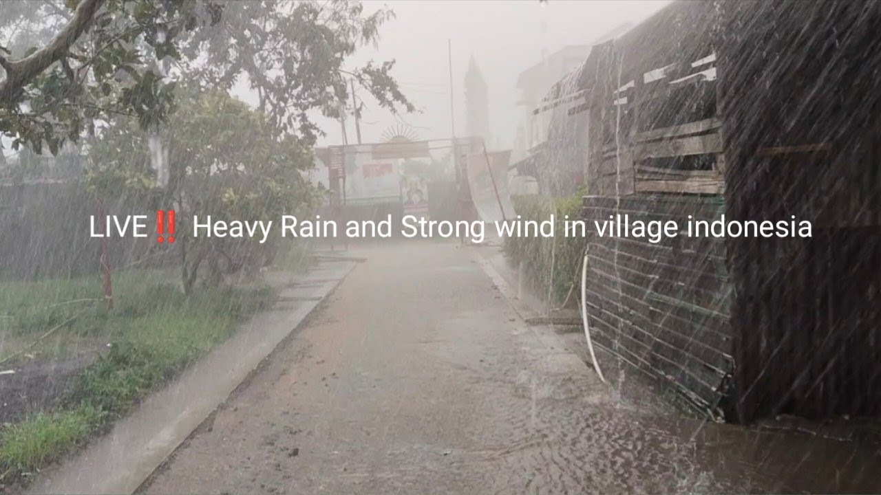 LIVE‼️ Super Heavy Rain in village indonesia | rain day - YouTube