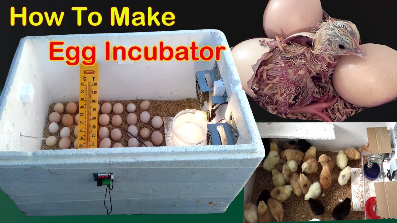How To Make Egg Incubator 🥚| Egg Hatching Machine | Homemade Egg ...