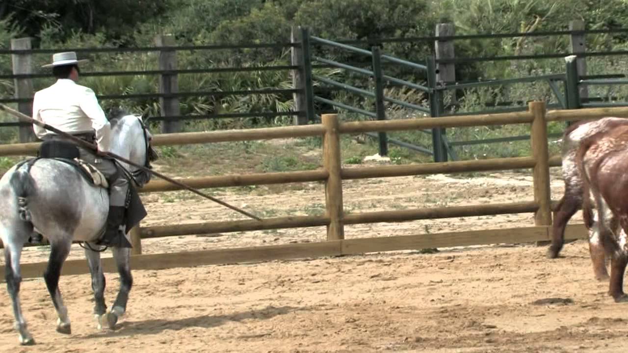 Los Primeros Trailer from the Vaquero Series - YouTube