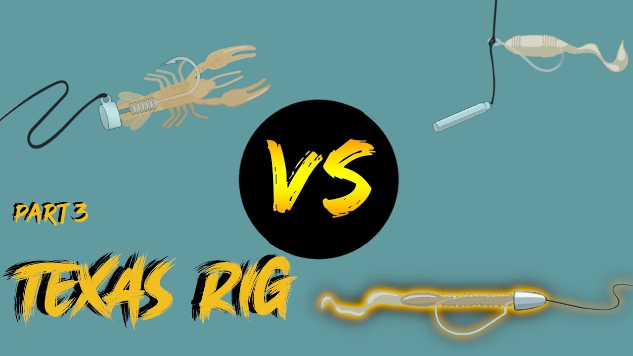 DROP SHOT vs NED RIG vs TEXAS RIG Part 3 Texas Rig - YouTube