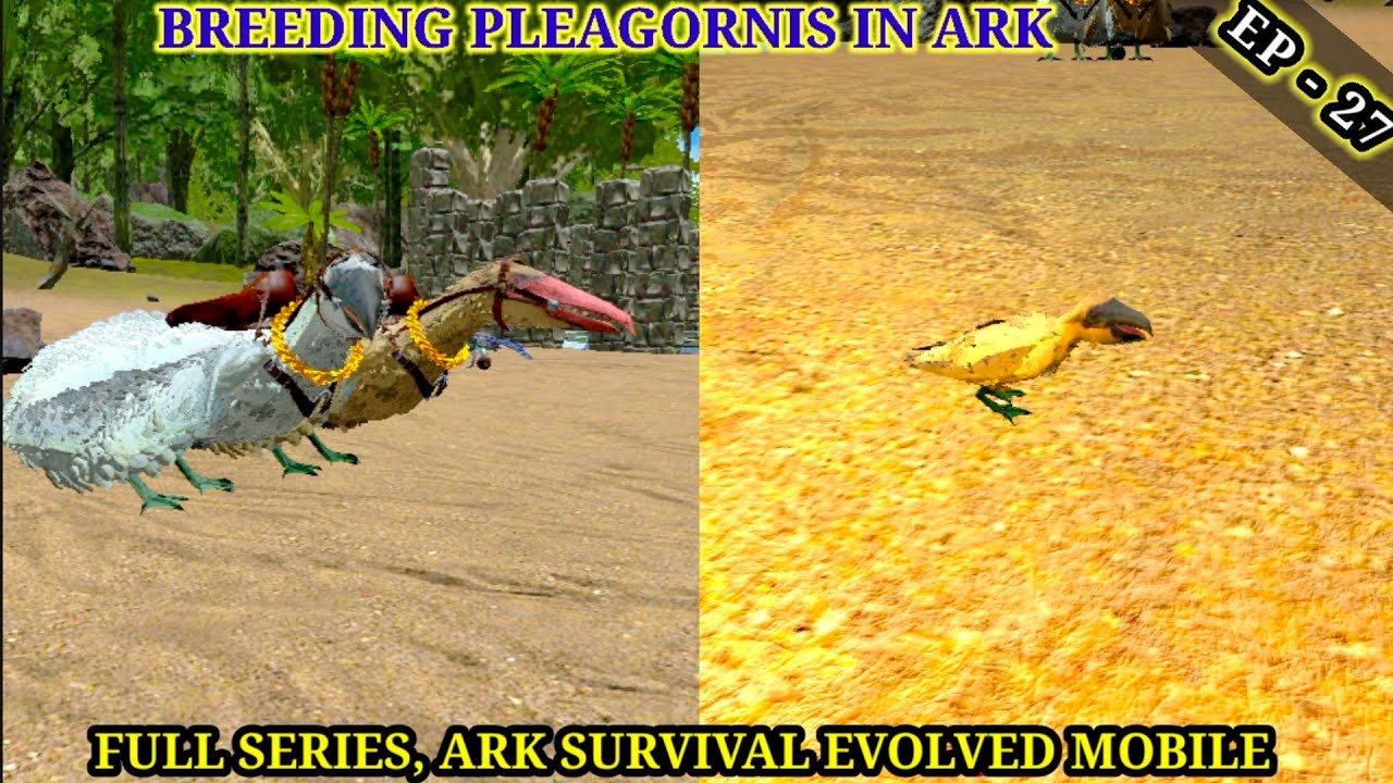 BREEDING PELAGORNIS AND IMPRINTING 100% ARK SURVIVAL (EP-27) FULL ...