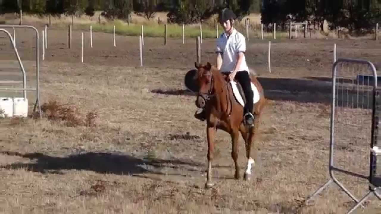 Mac riding Marcus January 2015 (1) - YouTube
