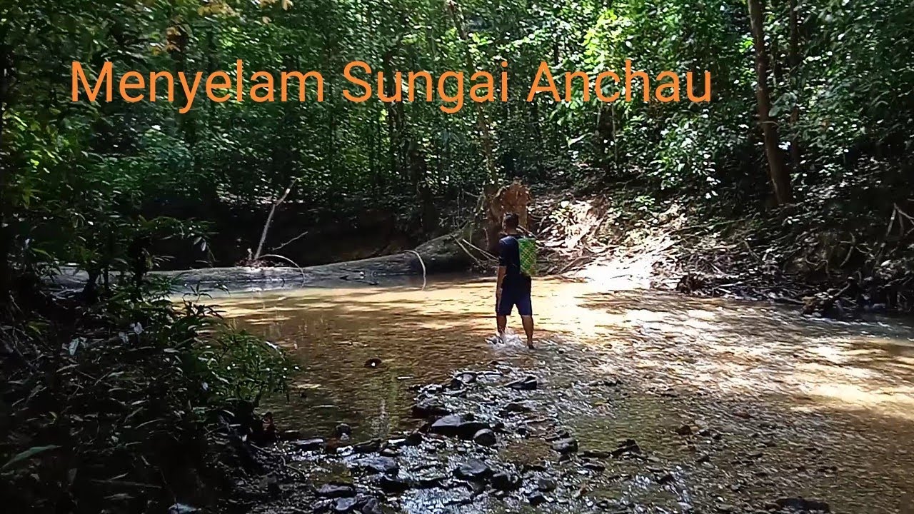 menyelam sungai anchau - YouTube