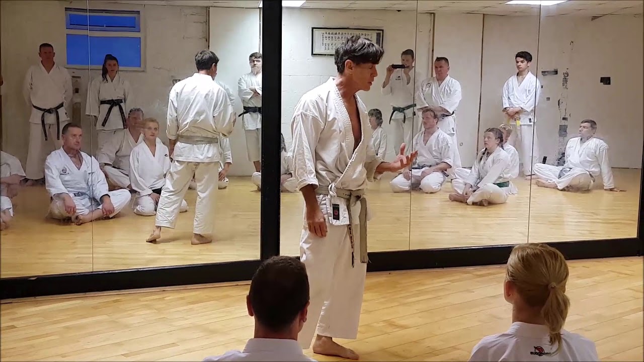 Rick Hotton - Kata, Bunkai and Body Intelligence - YouTube