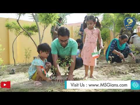 कैसे मनाया साध संगत ने गुरु जी का अवतार माह |  Dera Sacha Sauda Tree Plantation | Incarnation Month