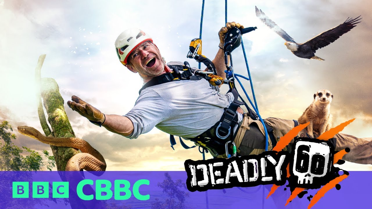 Deadly 60 BLOOPERS | Steve Backshall’s Funniest Moments | CBBC - YouTube