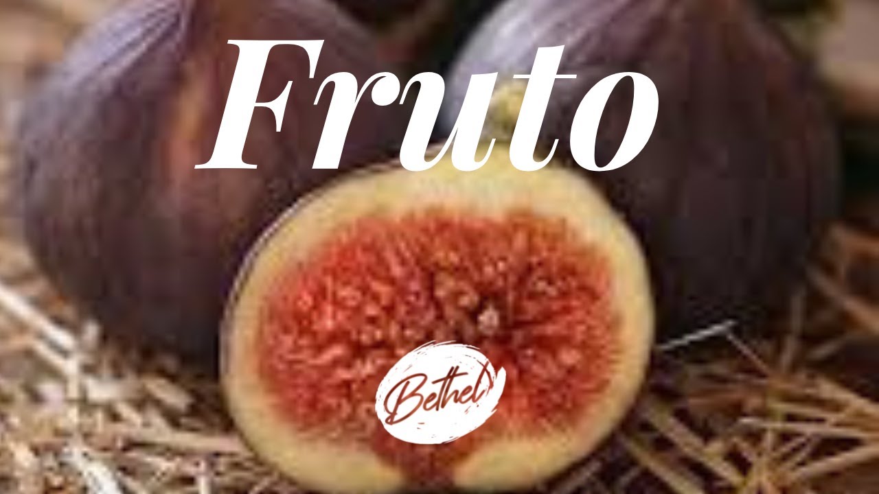 Bethel # 177 | Enseñanza | Fruto - YouTube