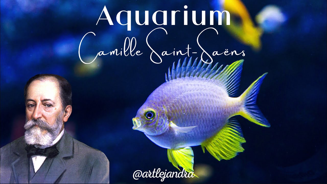 SAINT-SAËNS - AQUARIUM (partitura/sheet music) - YouTube
