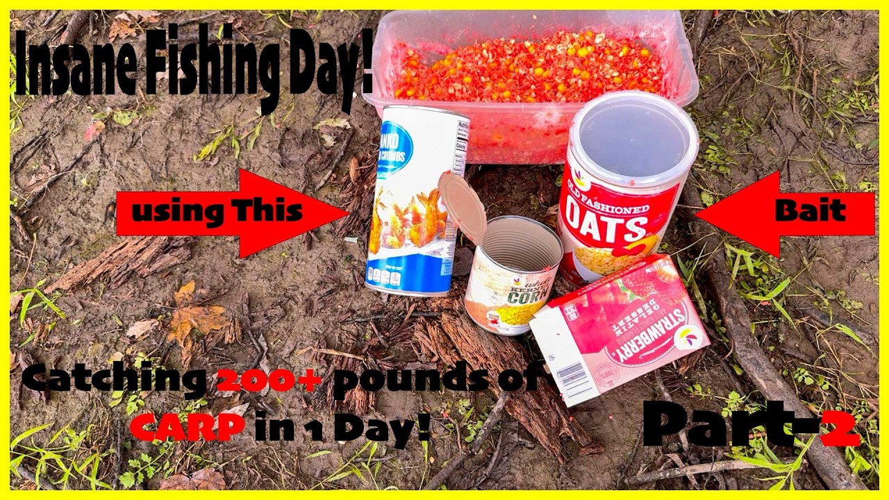 Catching 200+pound Fish in 1 Day- Insane fishing Day -Bait tips for ...