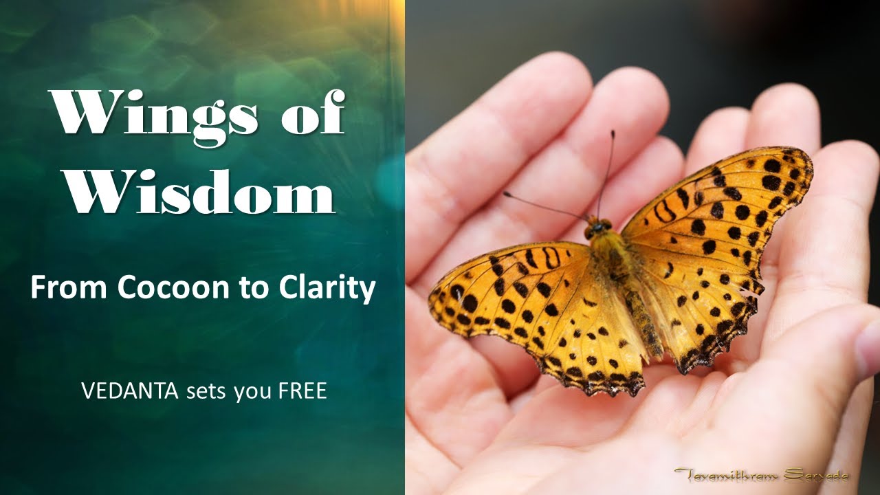 Wings of Wisdom - Beyond the Horizon of Perception. - YouTube