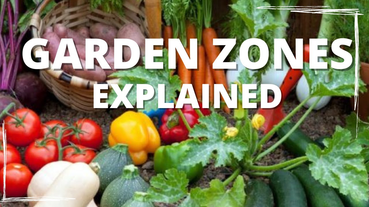 Gardening / Growing Zones Explained - YouTube