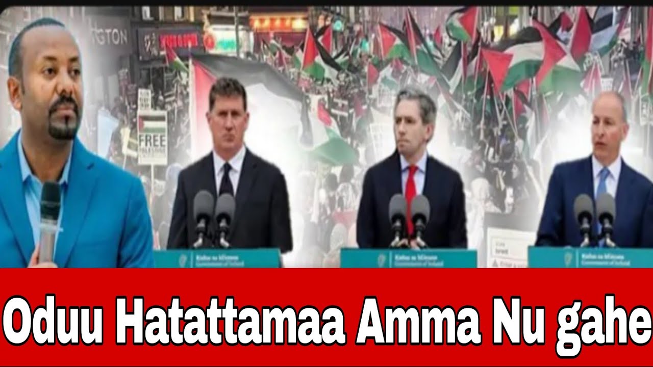 ODUU AFAAN OROMOO GUYYAA HAR'AA.#bbcafanoromo #voaafanoromo - YouTube
