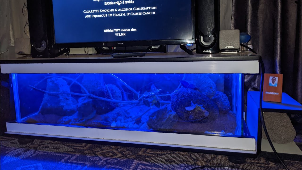 How To Make 4 Feet Aquarium TV Stand At Home - YouTube
