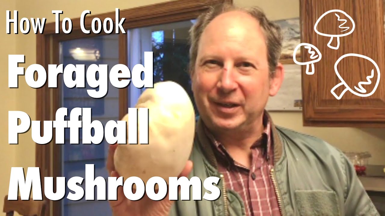 How to cook puffballs fantastically. - YouTube