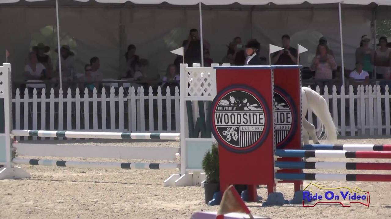 356S Lauren Wishnow on Midsummer Knight JR Beginner Novice Show Jumping ...