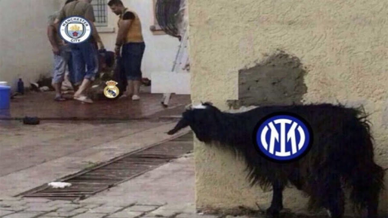 MEMY PO MECZU MANCHESTER CITY - REAL MADRYT 17.05.2023 - YouTube