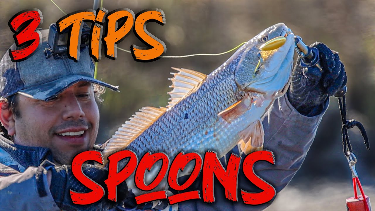3 Tips Fishing Weedless Spoons to Catch Redfish This Winter - YouTube