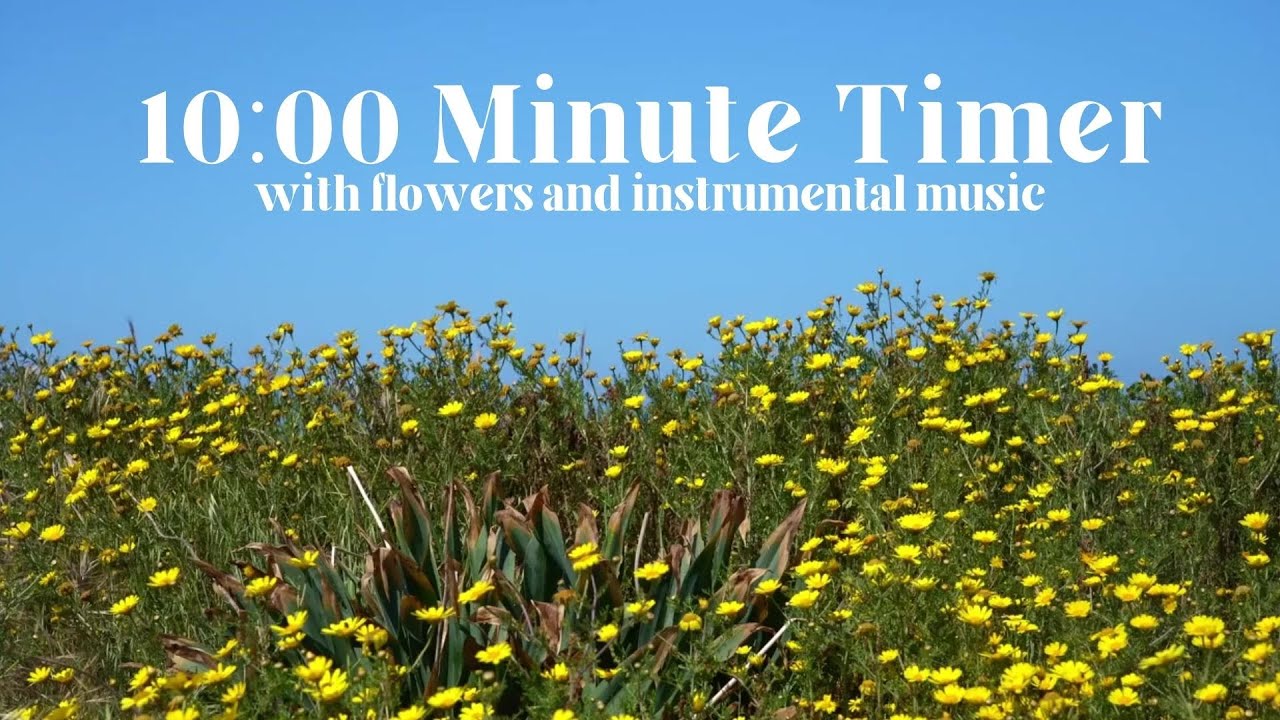 10 minute flower timer - YouTube