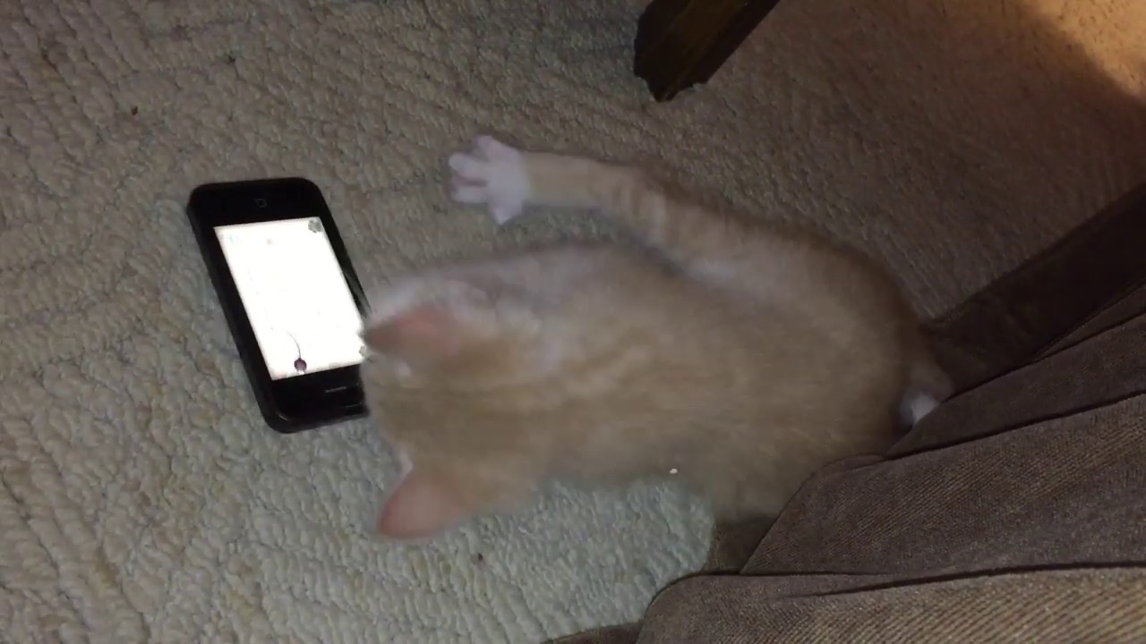 Get that mouse out of the box! - YouTube