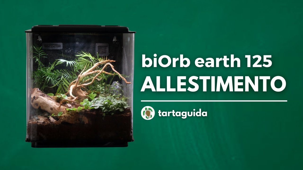Allestimento biOrb earth 125: terrario per rettili/anfibi AUTOMATIZZATO ...