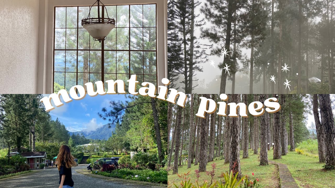mini vlog #6 | Mountain Pines Place | Bukidnon - YouTube