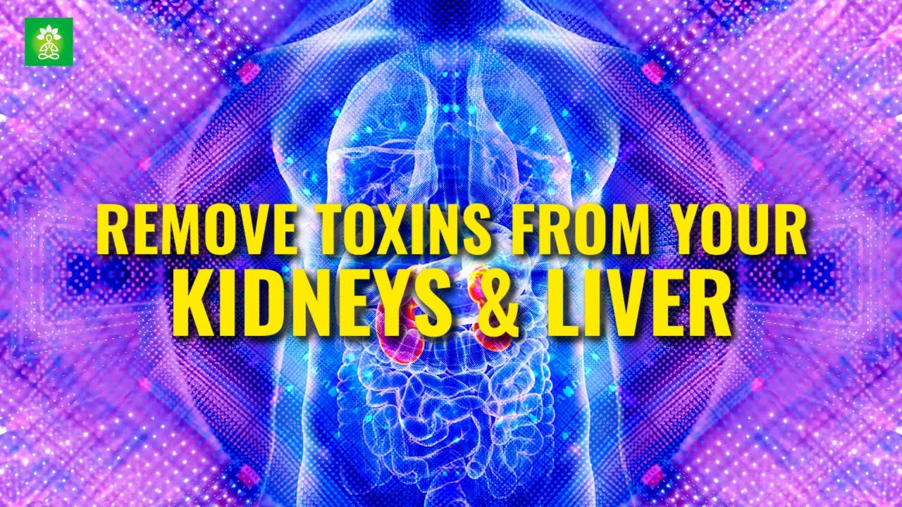 Remove Toxins From Your Kidneys & Liver | Extremely Powerful Organ ...