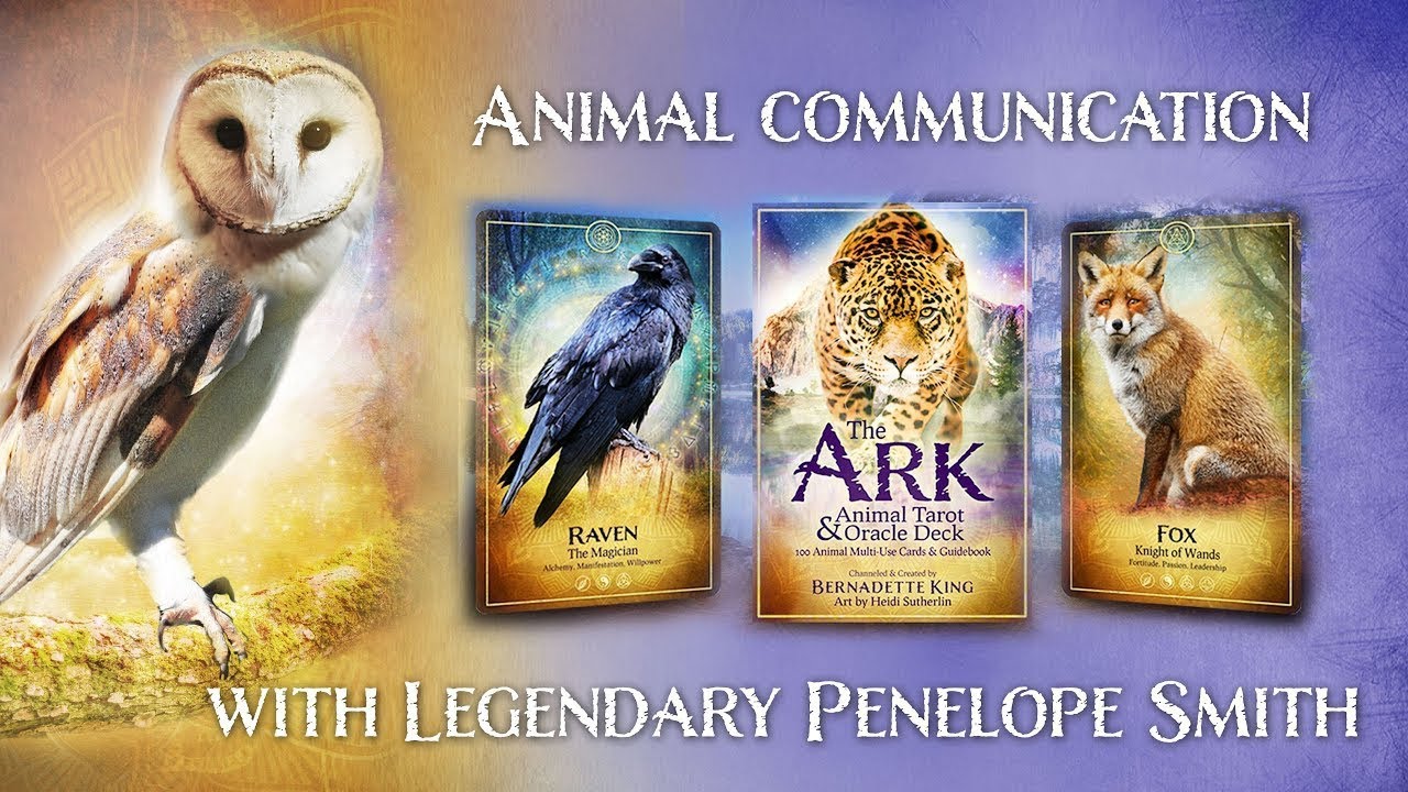 Animal Communication with the Legendary Penelope Smith - YouTube