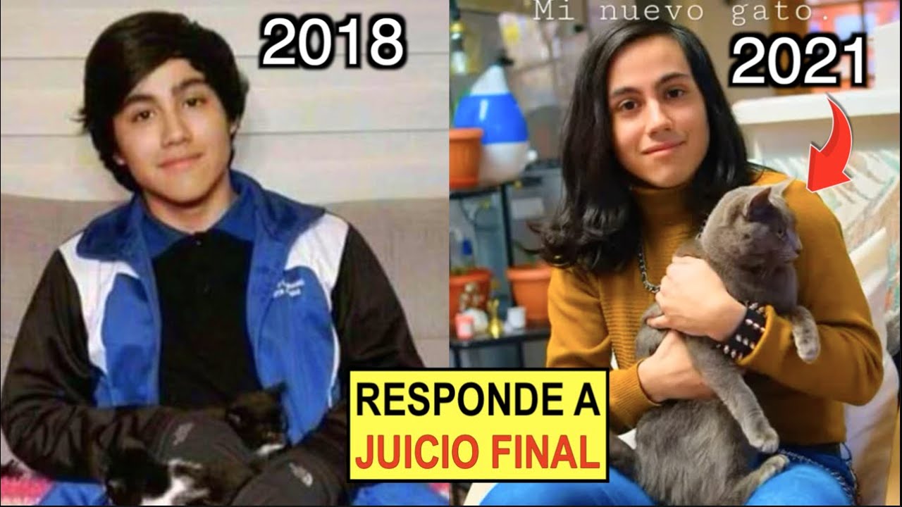 ASÍ RESPONDIO Peluchin Entreteniment A Su JUICIO FINAL Por MA... A Sus ...