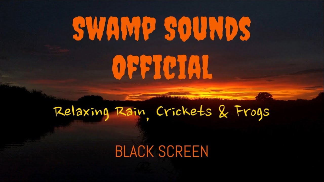 Swamp Sounds Official Relaxing Rain, Crickets & Frogs - YouTube