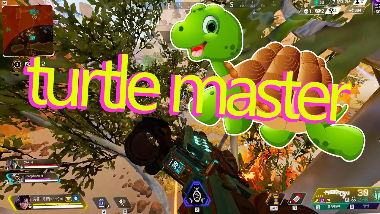 turtle master - YouTube