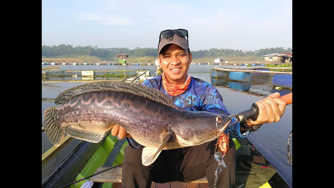 Casting toman waduk saguling #Vlog9 - YouTube