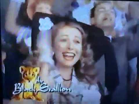 Opening To The Pebble And The Penguin 1995 Vhs