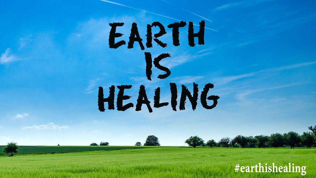 The Earth is Healing | COVID Lockdown | A Positive Approach to a ...