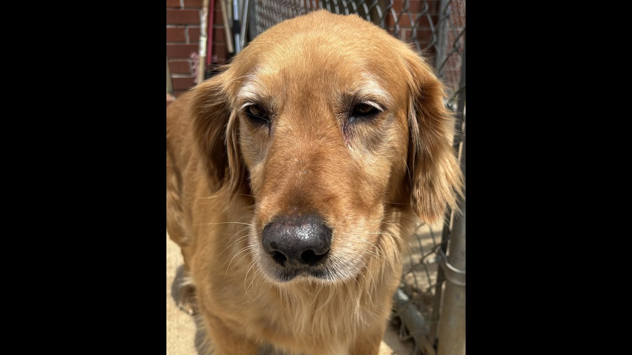 Rachel & Bubbles - YouTube