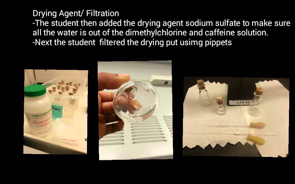 Caffeine experiment daryl - YouTube