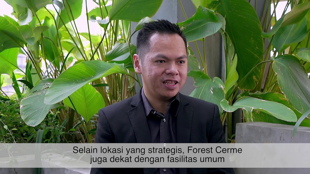 FOREST CERME interview video - YouTube