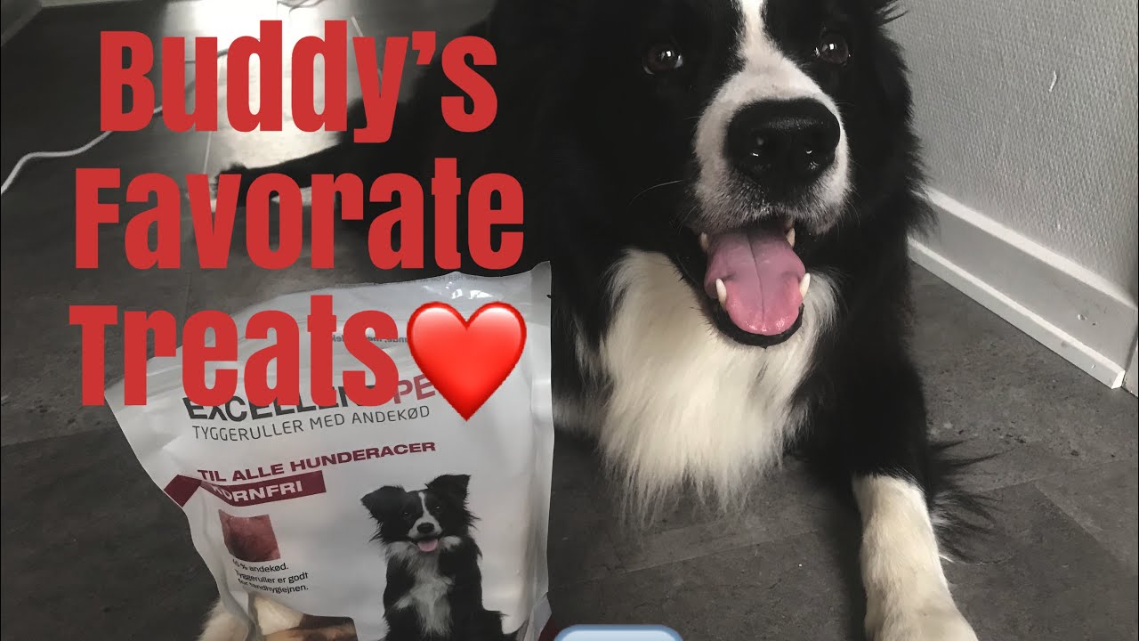 Buddy kind a like it! - YouTube