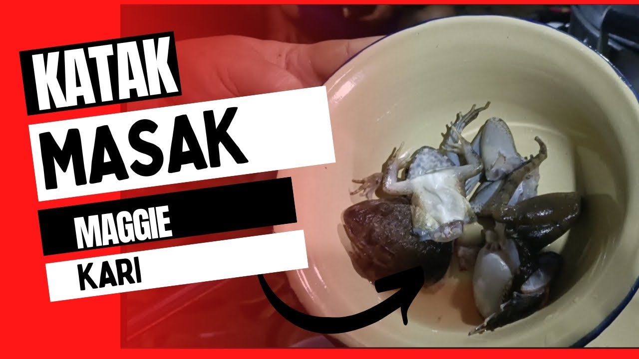 Hujan Lebat || Katak Masak Maggie Kari Untuk Panaskan Badan - YouTube