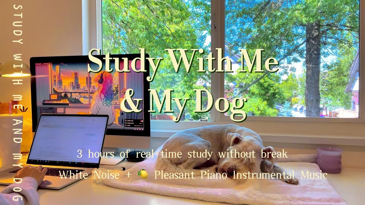 3 Hours STUDY WITH ME & MY DOG | Background noise, No break, No BGM - YouTube