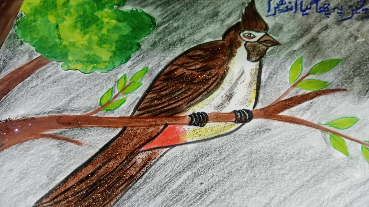 Beautiful Drawing Of BulBul And Jugnoo - YouTube