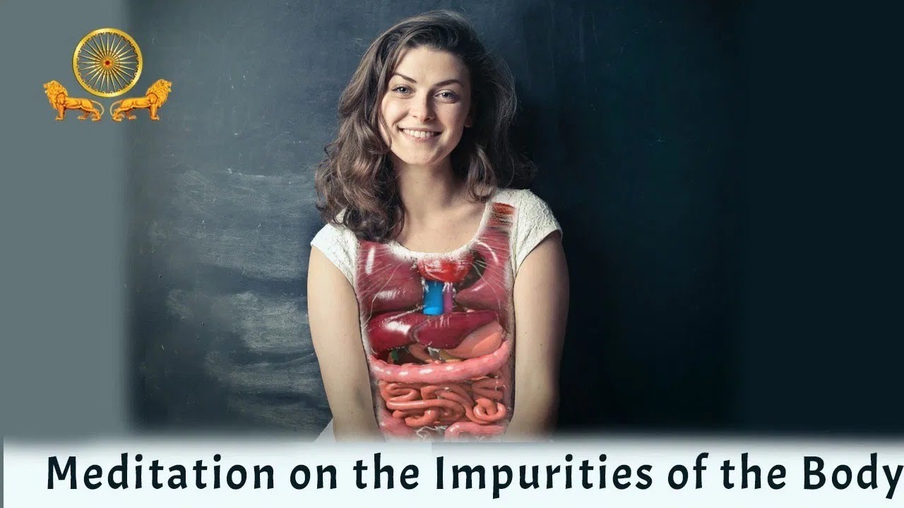 Mindfulness on the Impurities of the Body l Guided Meditation - YouTube
