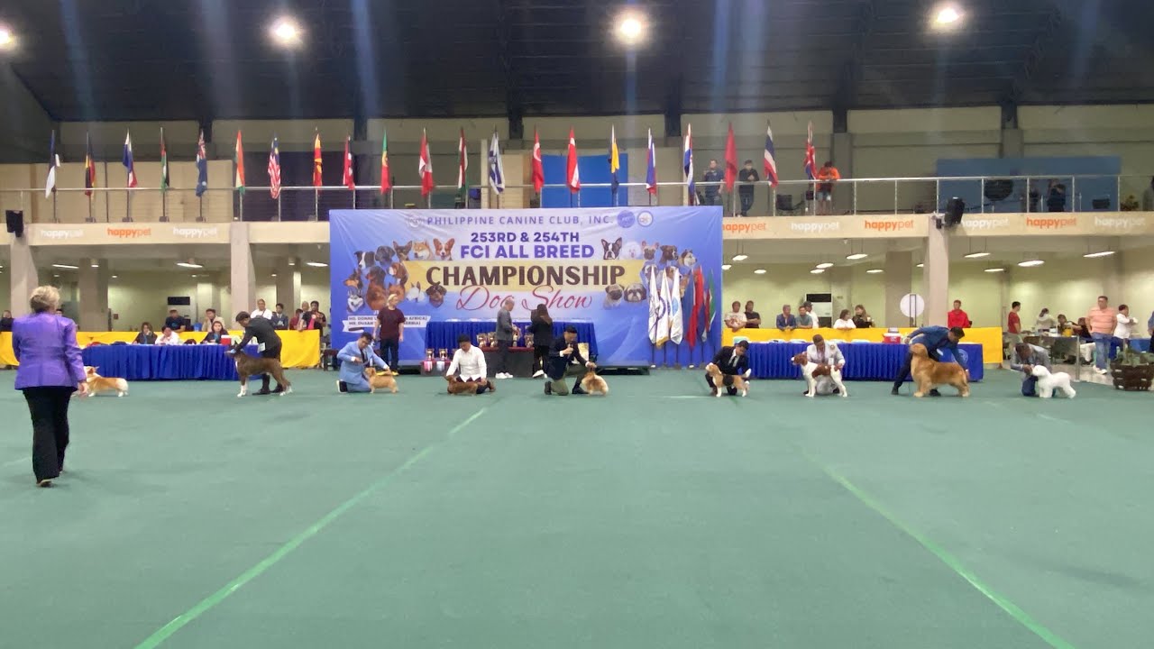 PCCI/FCI 253RD & 254TH ALLBREED DOGSHOW / BEST IN SHOW COMPETITION ...