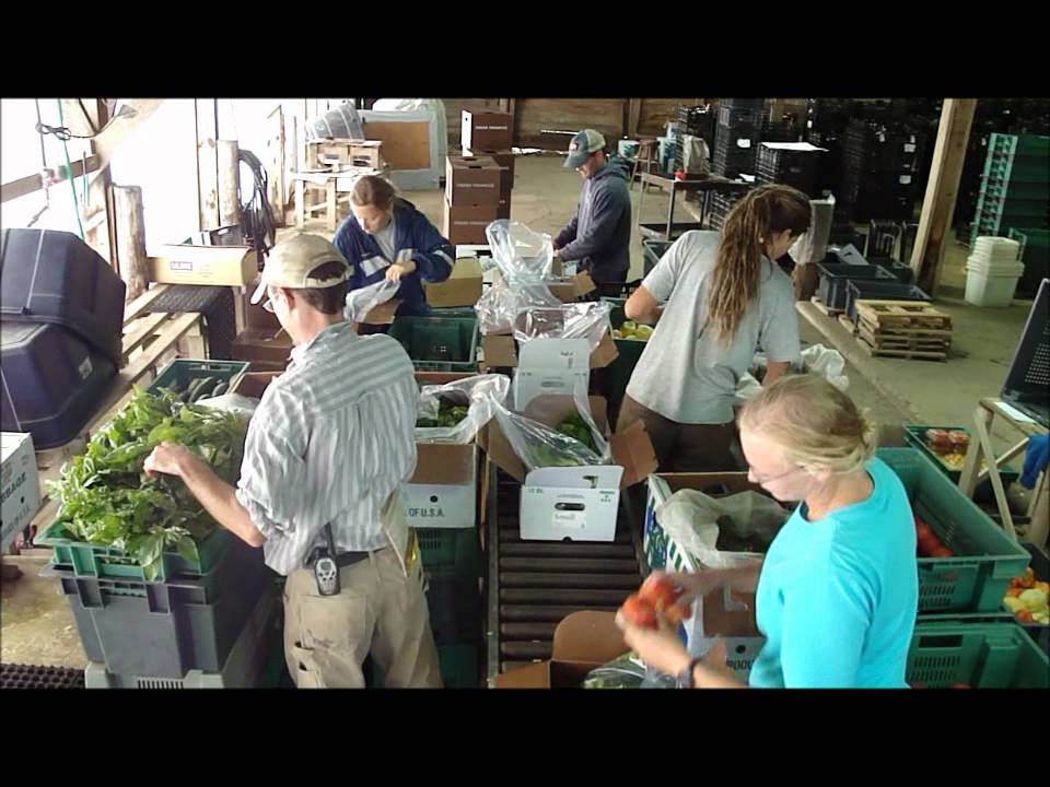 CSA Box Packing - YouTube