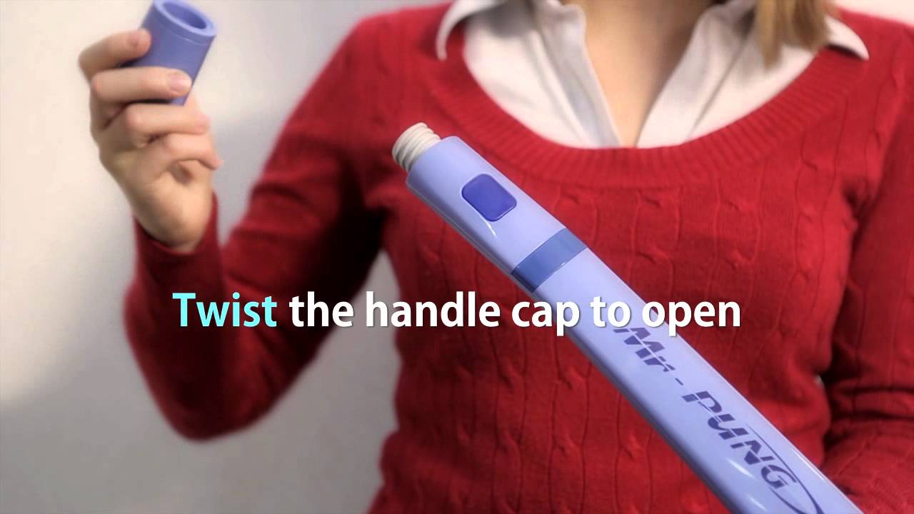 mr pung manual - YouTube