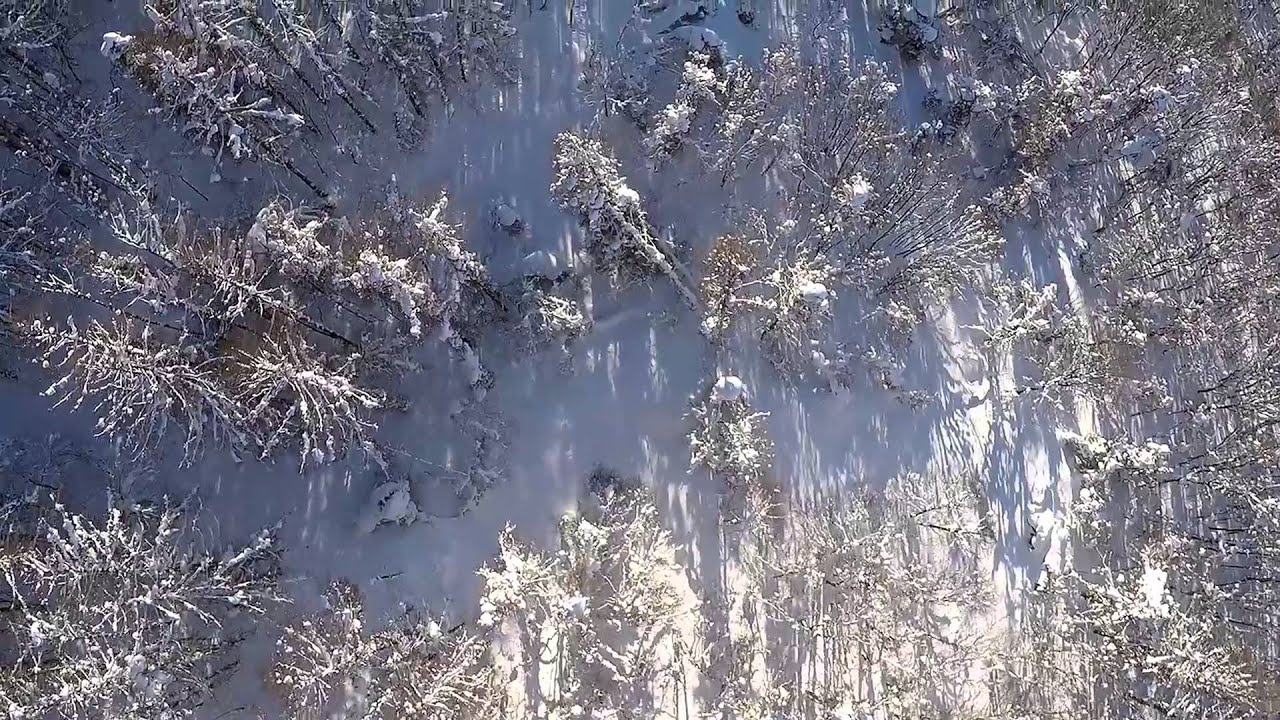 Flight over Hokkaido Forest, Japan - YouTube