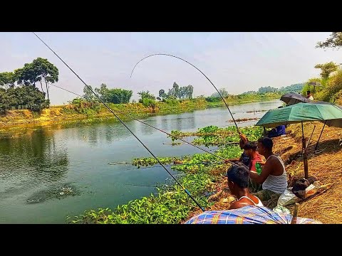 Fish catch videos 🐠🐋🐟 🎣 Village fishing Hook fishing🐠🐋🐟 Bata fish 🐟 # ...