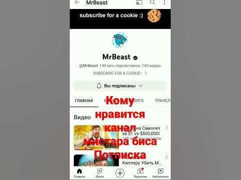 мистер бис - YouTube
