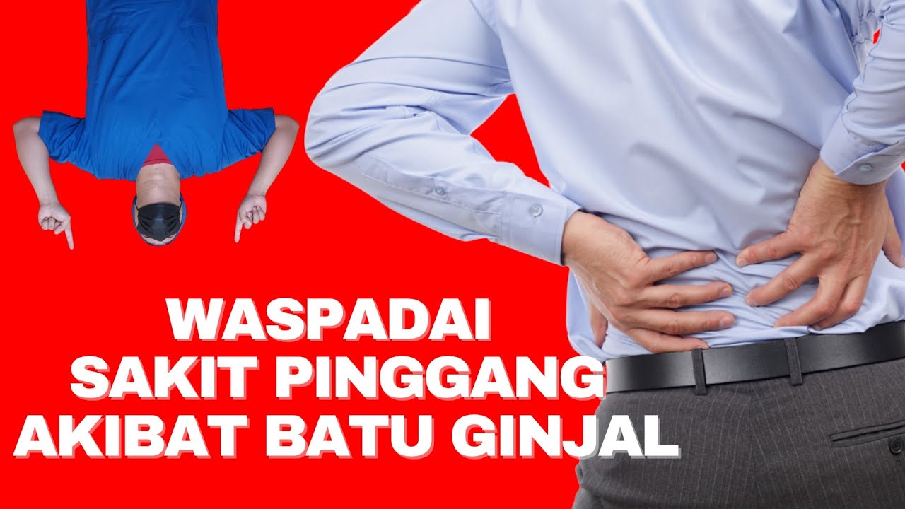 BATU GINJAL – BATU SALURAN KEMIH – EDUKASI KESEHATAN – PROJECT D - YouTube