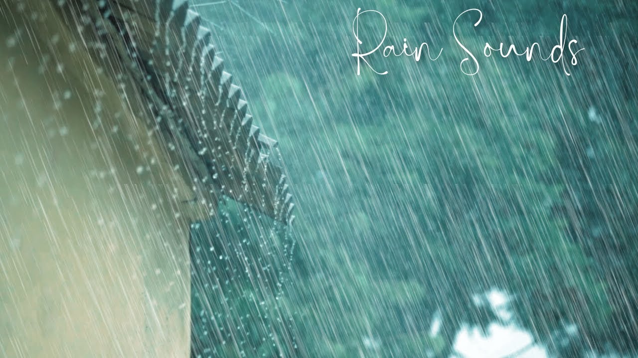 The Gentle Sound of Rain: Relaxing Your Mind and Easing Sleep in Nature ...