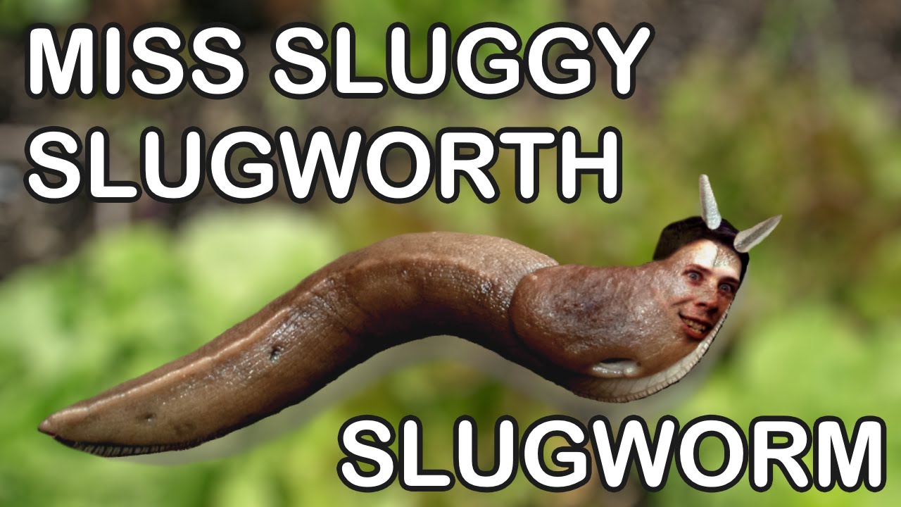 "Miss Sluggy Slugworth Slugworm" - Hat Films Remix - YouTube